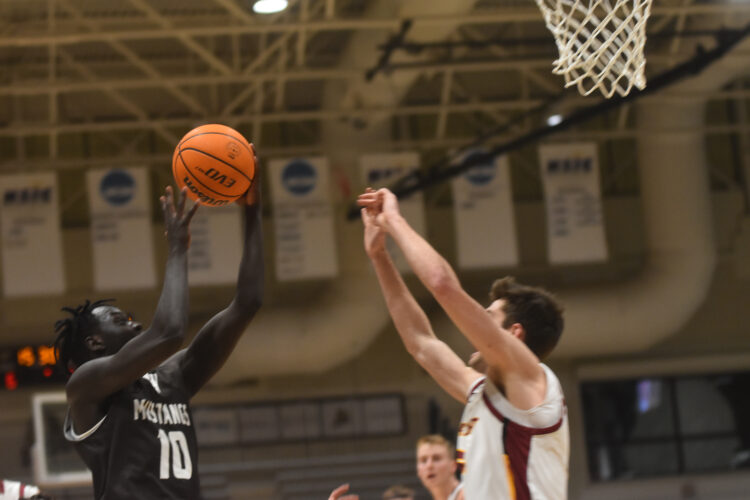 SMSU Mustangs tame the NSU Wolves 67-58 | News, Sports, Jobs - Marshall ...